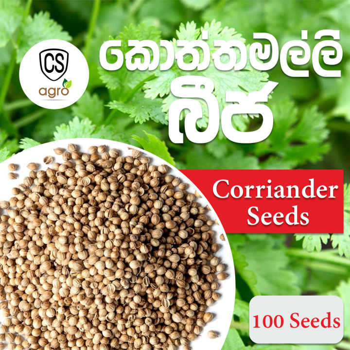 Koththamalli Seeds Corriander Home Gardening Agriculture | Daraz.lk