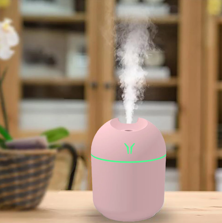 250ml Compact Portable Humidifier for Fine Moisture – Professional ...