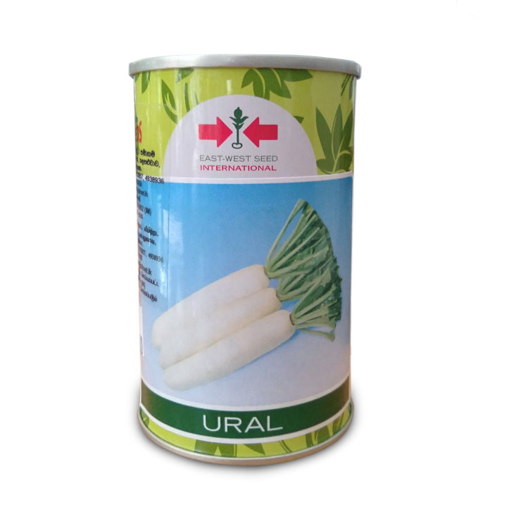 Raabu Beeja Radish URAL Seeds 25 Grams Home Garden High Quality Seed ...