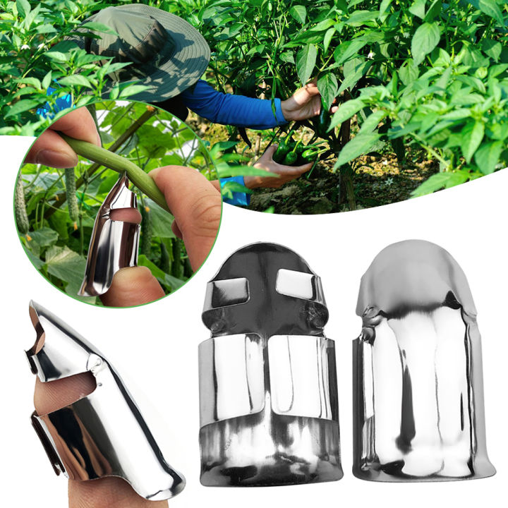Stainless Steel Picking Tool Easy Use Strawberries Peppers Cherries Tea ...