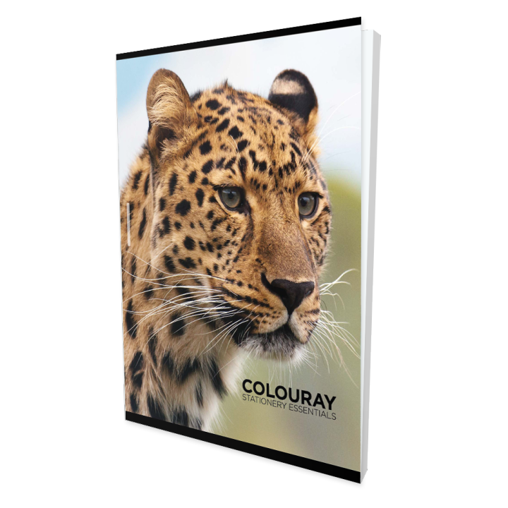 Colouray CR Book (60gsm) - 160 pgs Square Rule | Daraz.lk