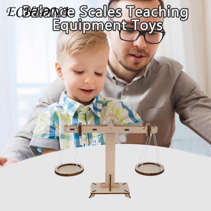 ECHIDNA Teaching Equipment Toys DIY Balance Scales Teaching ...