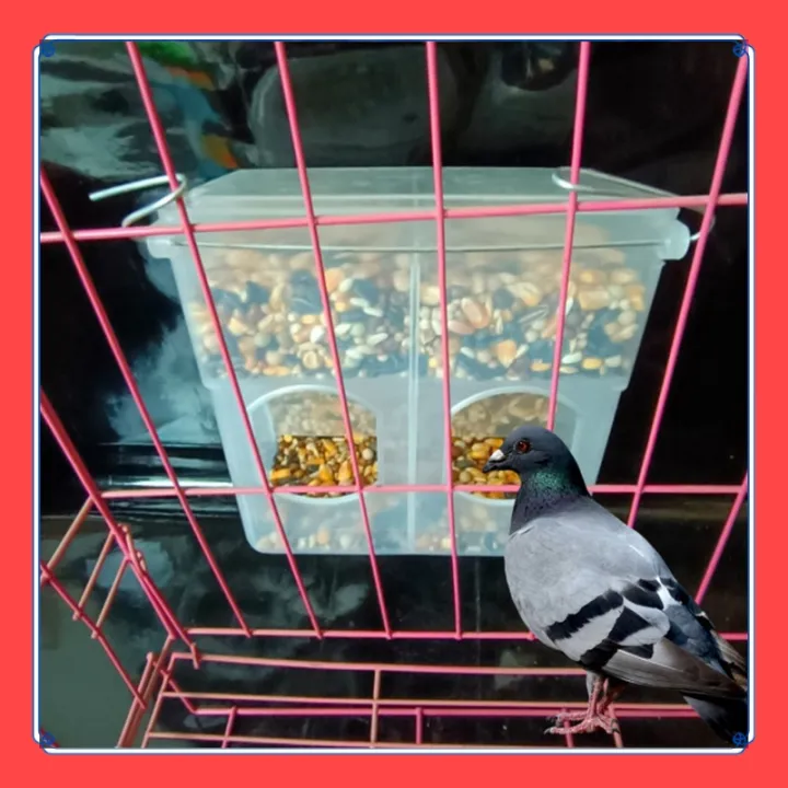 VibeVendor 100%authentic!!2024, Pigeon Two Hole Hanging Cage Box ...
