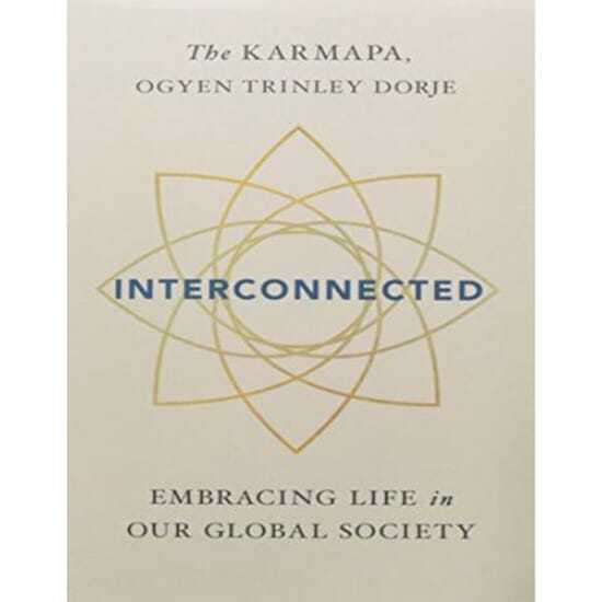 Interconnected : Embracing Life in Our Global Society | Daraz.lk