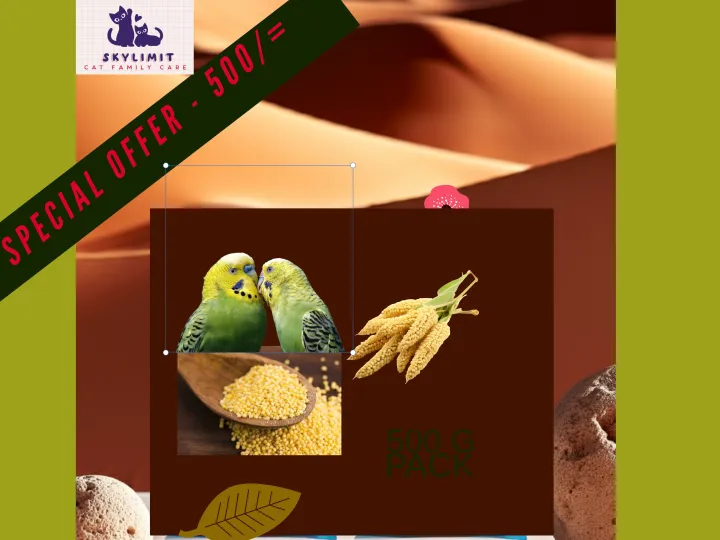 Love Birds Food l Bird Feed Lovebirds l Bird Feed Millet l Bird Feed ...