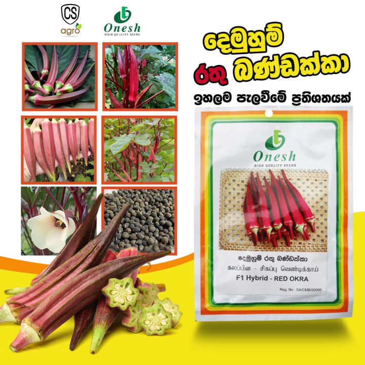 Red Okra F1 Hybrid Seeds Rathu Bandakka Beeja 5g Home Gardening ...