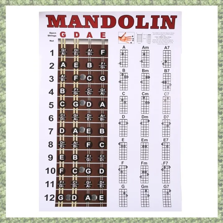 SptrryMandolin Poster Chart Chord Musical Trainning Instrument Guide ...