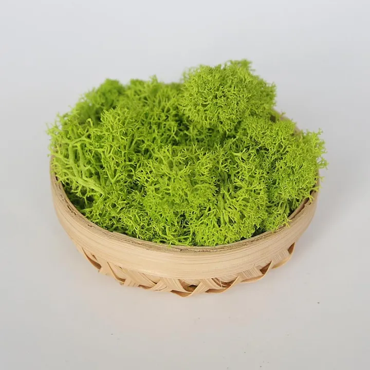 【RetroGlobe】Immortal Fake Flower Moss Grass Christmas decorations ...