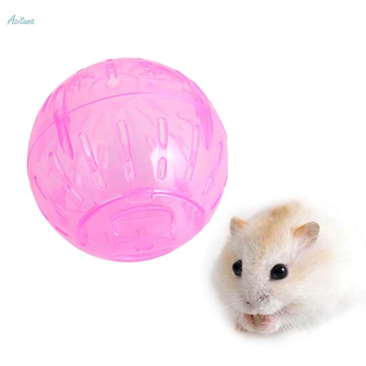 Dwarf Hamster Exercise Ball Cute Hamster for Chinchilla Jogging Pink ...