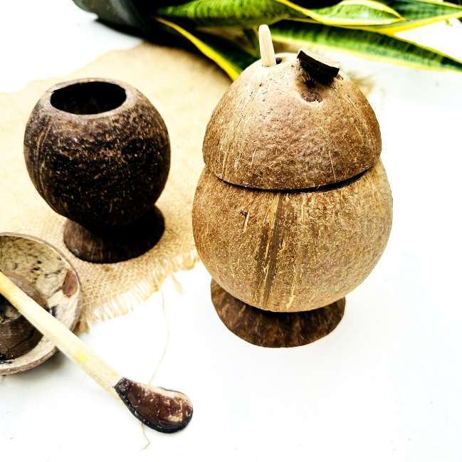 Sea Salt Container with Spoon | Coconut Shell Salt Container | lunu ...