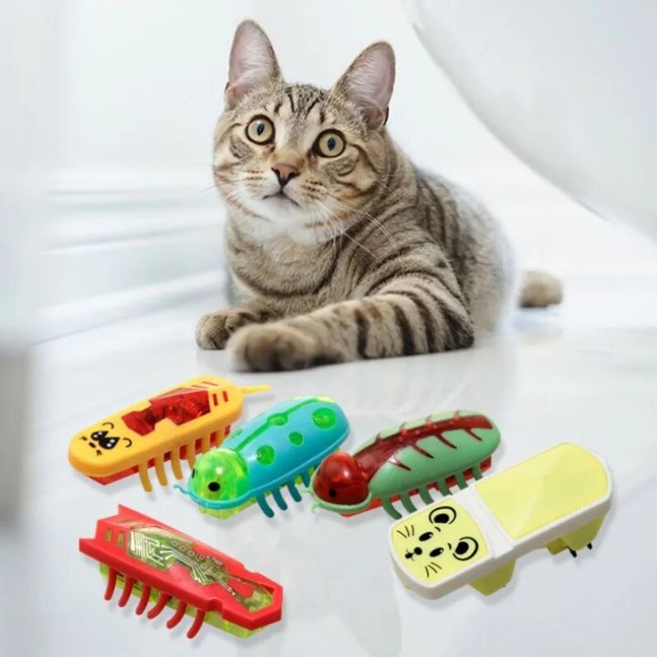 Pet Interactive Mini Electric Bug Cat Toy Cat Escape Obstacle Automatic ...