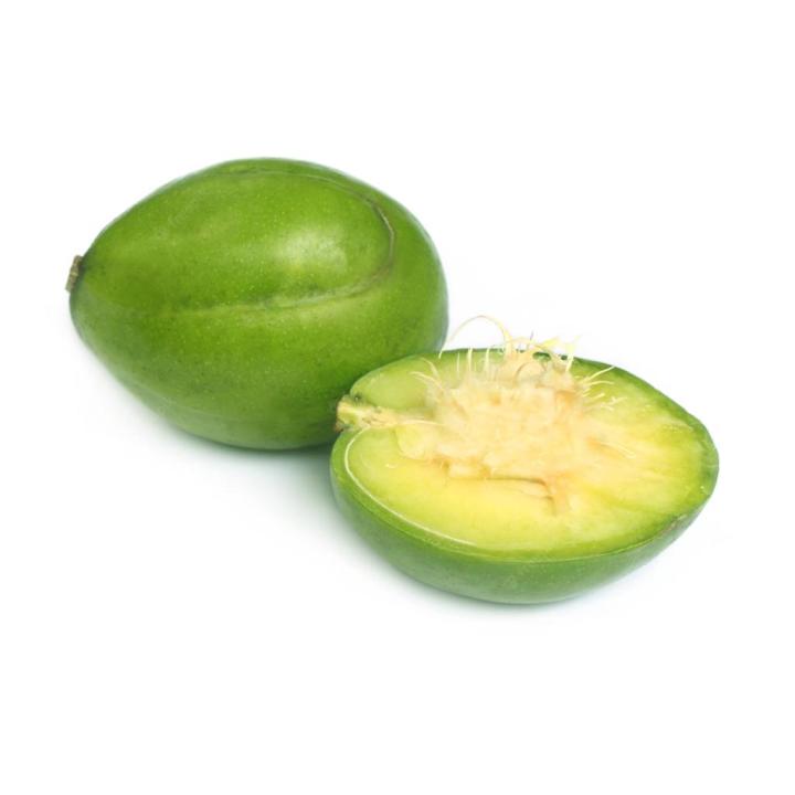 Ambrella Plant,Ambrella Tree,June Plum Tree: Growing Ambarella Fruit ...