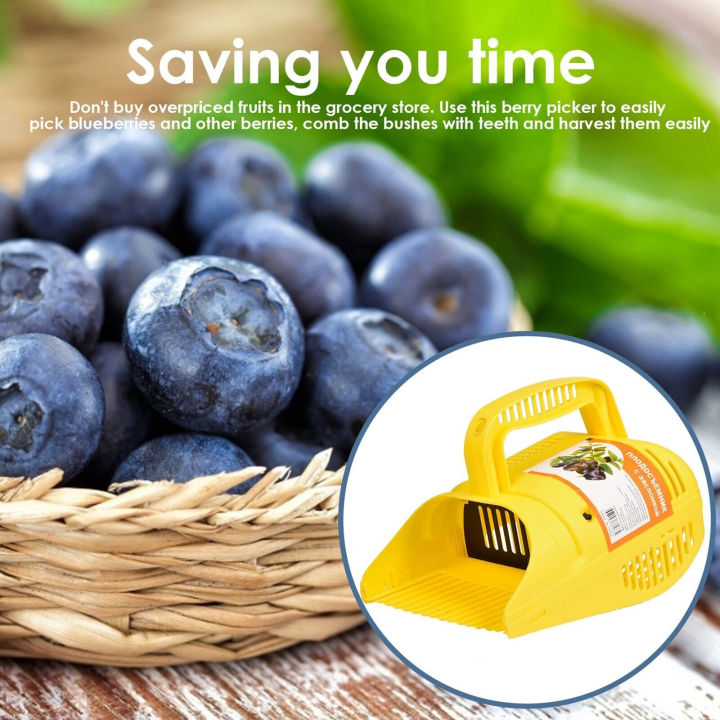 Kidlove Blueberry Picker With Comb Multifunctional Portable Blueberry ...