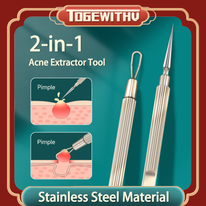 2-in-1 Comedone Pimple Extractor Tool, Pointed Whitehead Blackhead ...