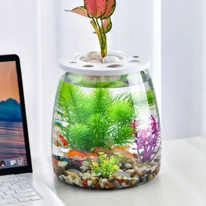 Tortoise Enclosure Transparent Small Clear Fish Plastic With Lid Turtle ...