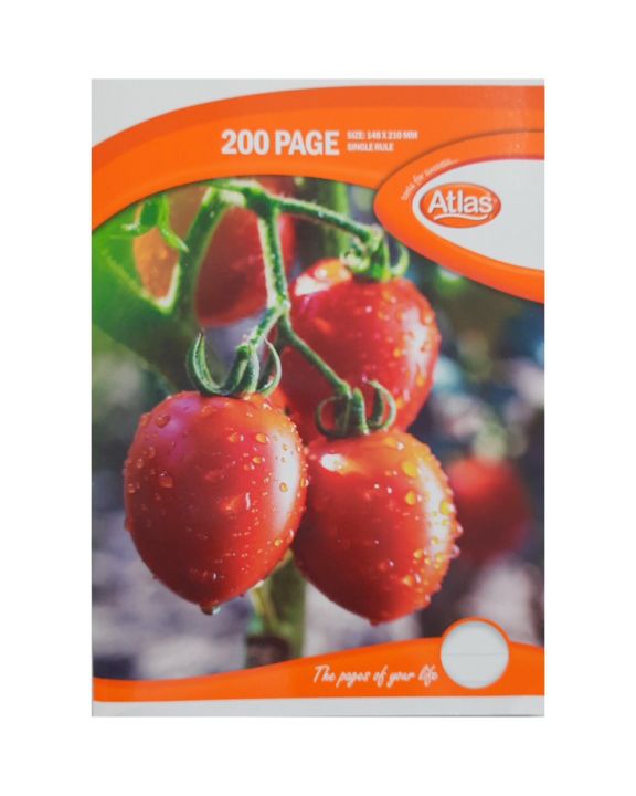 Atlas Exercise 200 Pages ( Single Ruled/ Square Ruled ) Book | Daraz.lk