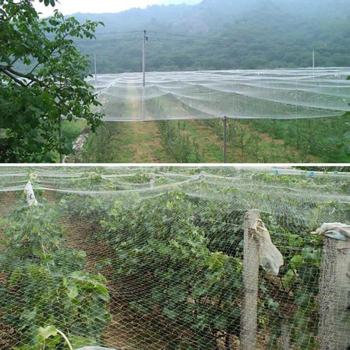 1.5cm Anti Bird Net Crop Netting Mesh Garden Fruit Tree Pond Protection ...