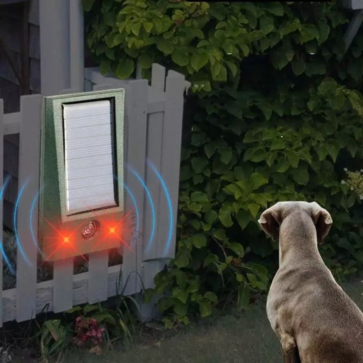 Animal Pest Bird Repellent with Motion Strobe and Intruder Alarm | Daraz.lk