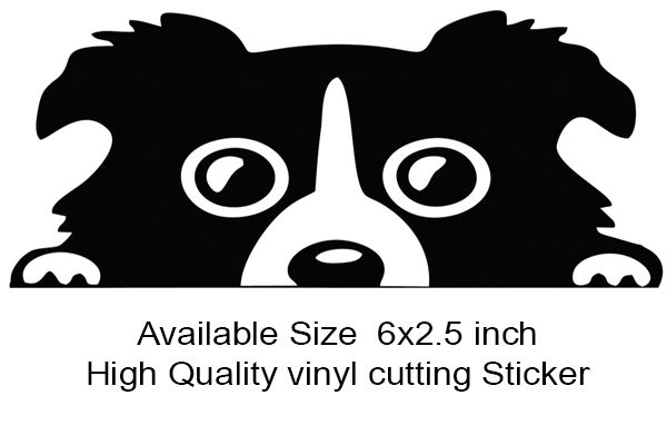 Vehicle Sticker For CarS Vans Bike Three Wheeler and Any Type Vehicle ...