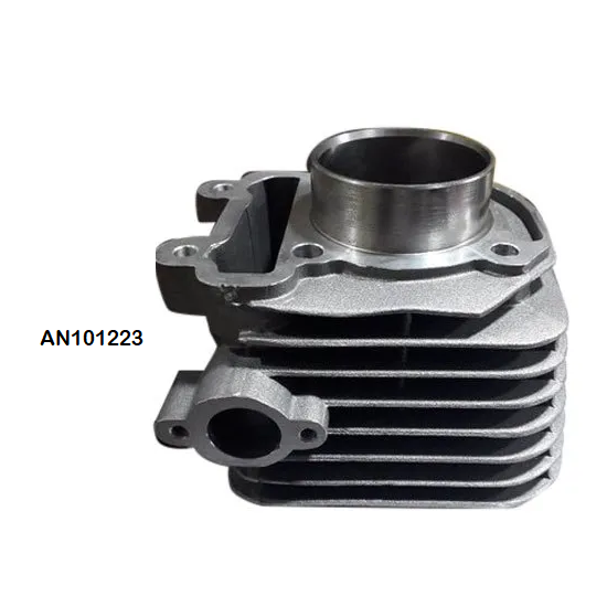 Bore assy 205cc 4 stroke (Bajaj) Three wheel | Daraz.lk