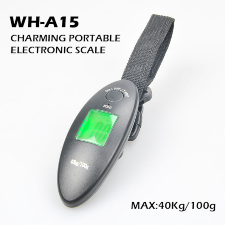 【InnovateWorld】ESPLB 40kgx100g Luggage Digital Scale Mini Portable ...
