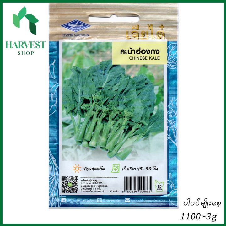 ကိုက်လန်ပင်မျိုးစေ့ (Chinese Kale Seeds) | Shop.com.mm