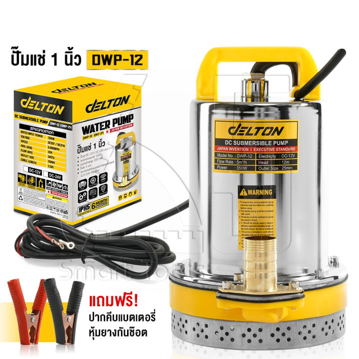 (Preorder) Delton DC water pump, 1-inch submersible pump, new model ...