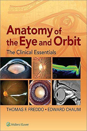 Ebook - Anatomy of the Eye and Orbit - The Clinical Essentials 1st Edition | Shop.com.mm