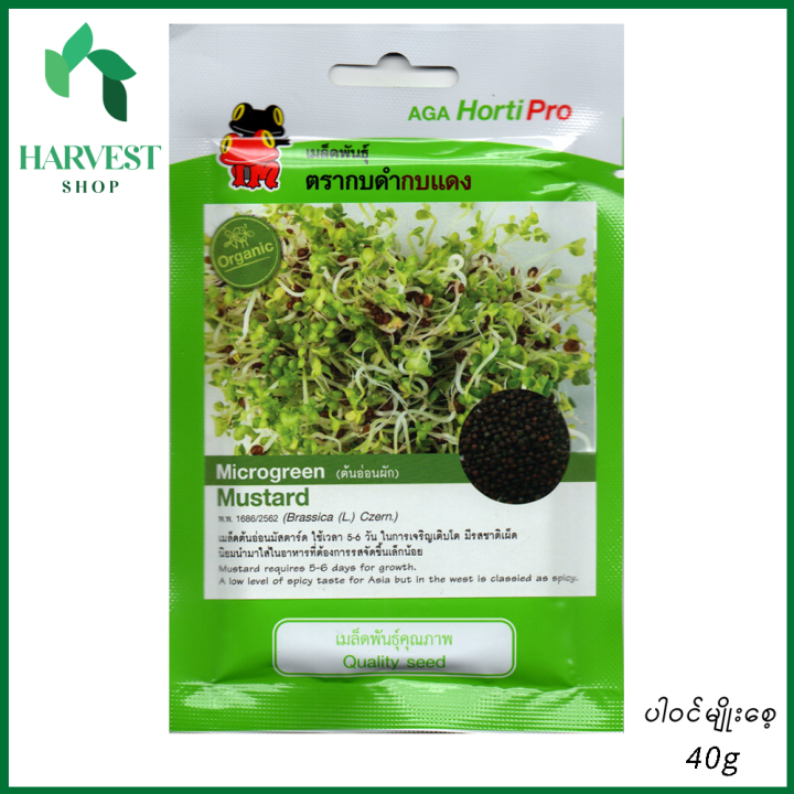 Mustard Organic Microgreen Seeds - 40 grams | Shop.com.mm