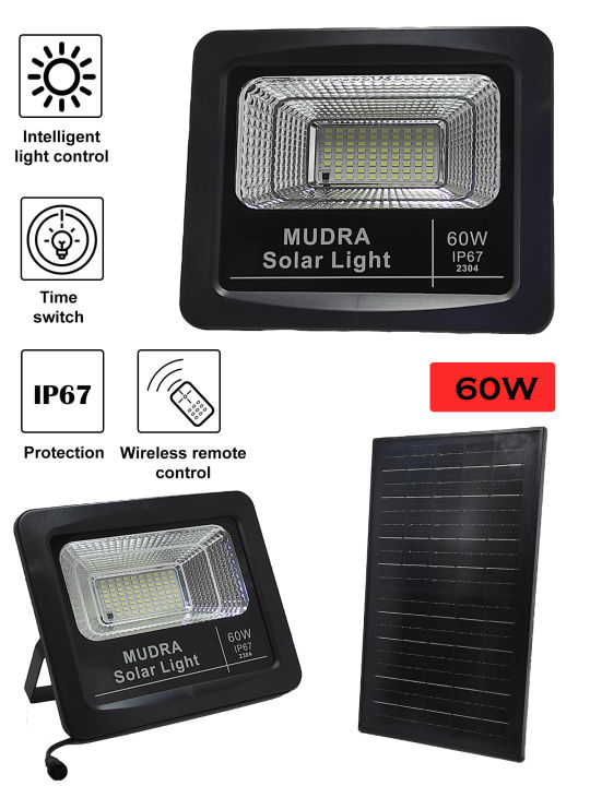 LED Solar Flood Light (60W) | Shop.com.mm