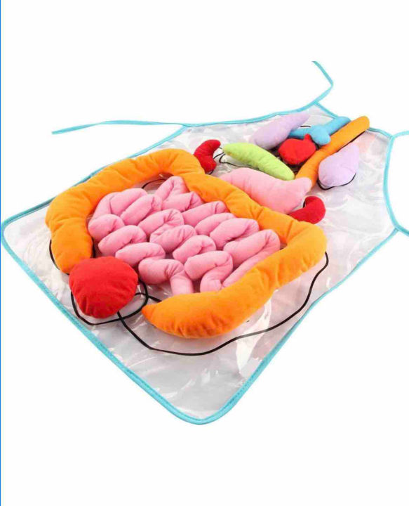 Human Anatomy Apron | Shop.com.mm