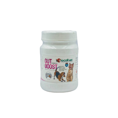 Biocoll Gut Boost Powder 100g | Shop.com.mm