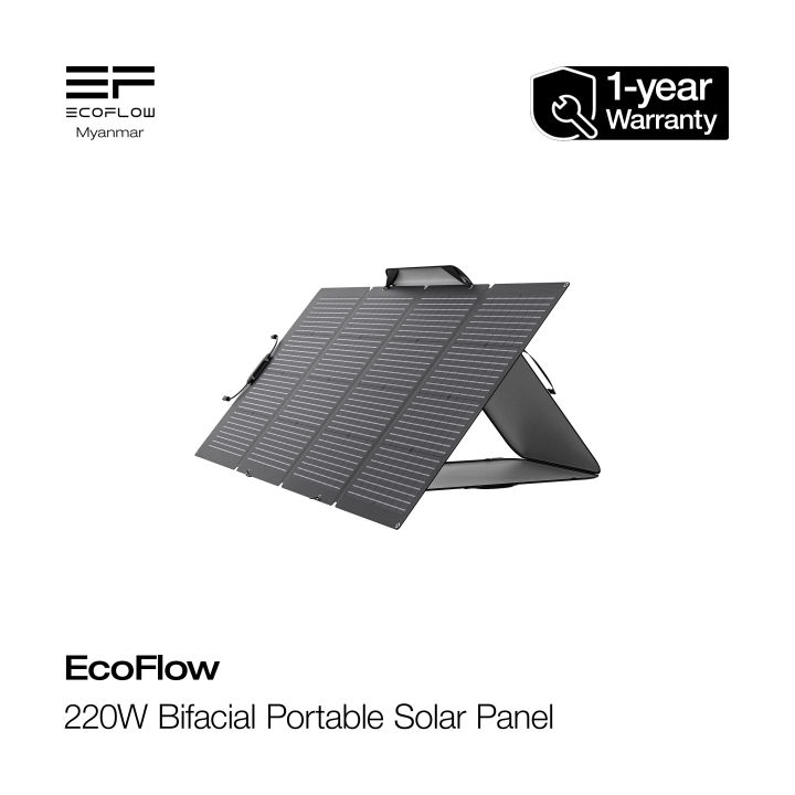 EcoFlow 220W Bifacial Portable Solar Panel | Shop.com.mm