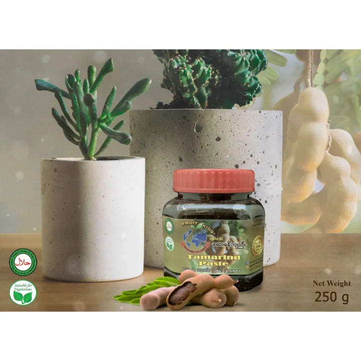 Fruit King Tamarind Paste | Shop.com.mm