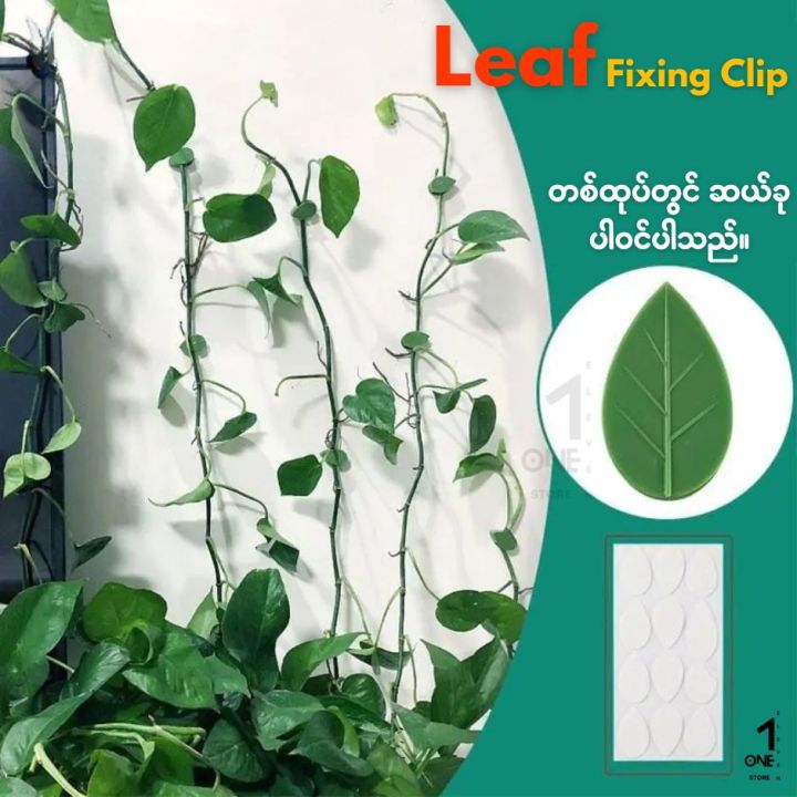 Plant Climbing Wall Fixture Clips Self-Adhesive Invisible Vines | Shop ...