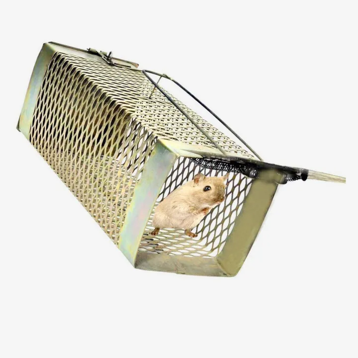 Rat, Rodent, Mouse Trap/ Catcher Iron Big Size Ultimate Solution To All ...
