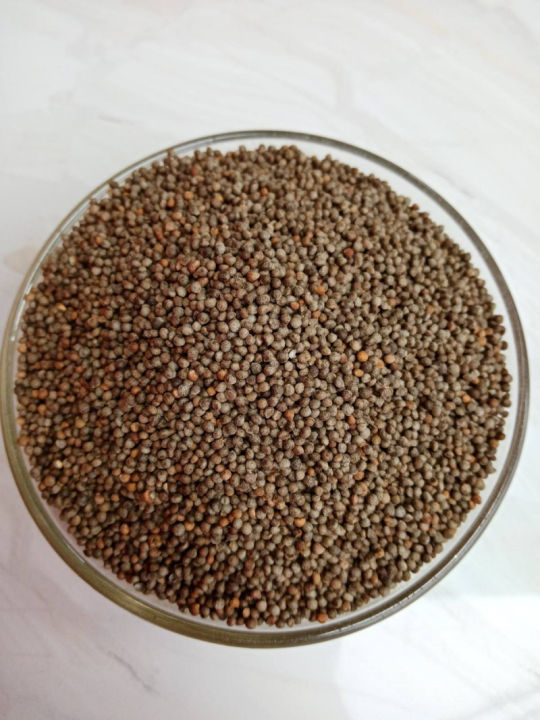 Shilam Perilla Seeds - 500 Gm | Daraz.com.np