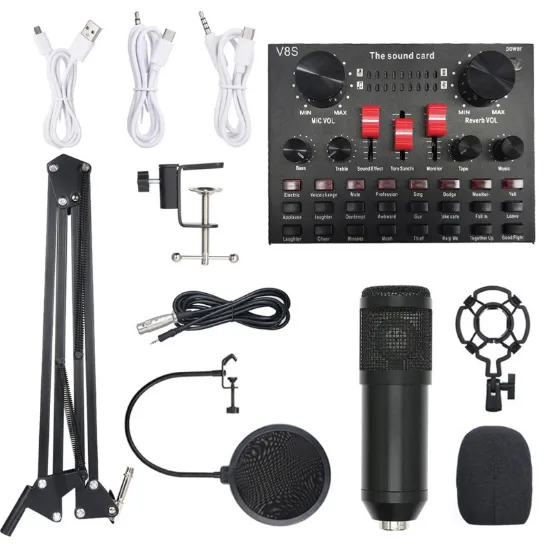 Bm800 Professional Studio Condenser Microphone with V8s Sound Card | Daraz.com.np