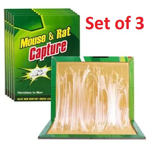 Super Strong Sticky Pest Glue Sticky (3pc) | Easy To Use Sticky Rodent ...