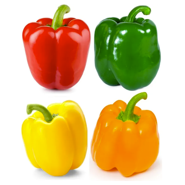 Organic Capsicum Mix Color, Bell Pepper Misticanza 20 Plus Seeds Loose ...