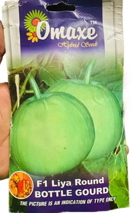 Vegetable Seed - 1 Packet F1 LIYA ROUND BOTTLE GOURD Omaxe Seeds By ...