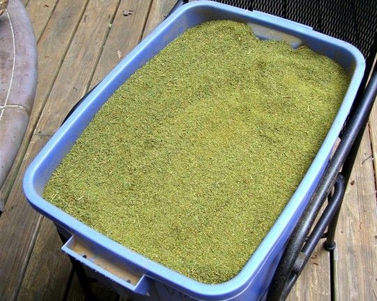 Juniper Dhupi Powder Inscence Powder 5 Kg | Daraz.com.np