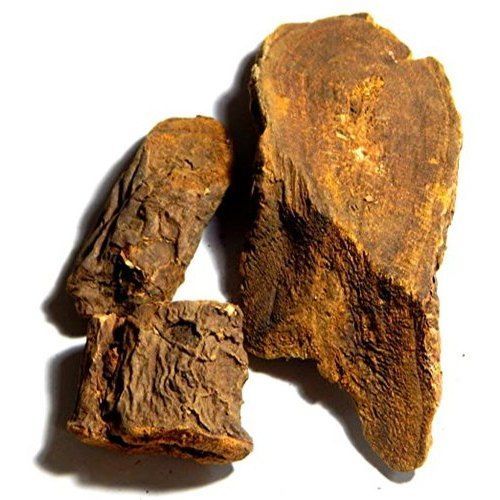 Padamchal Rhubarb Revand Chini - 500Gm | Daraz.com.np