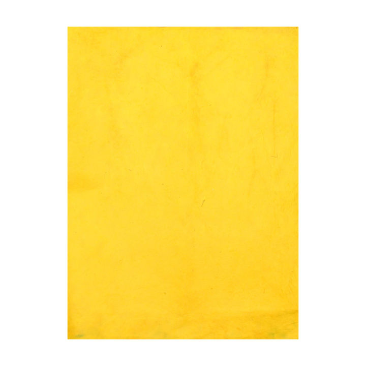 Nepali Lokata Paper 20X30 Inches | Daraz.com.np
