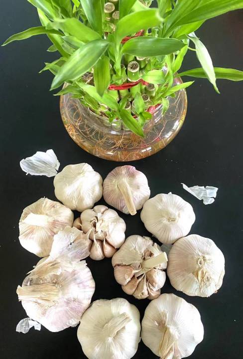 Dry Garlic With Skin 200 Gm Packet | Daraz.com.np