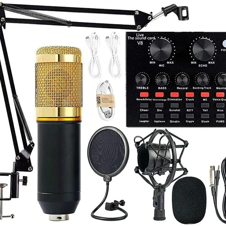 BM800 Professional Studio Condenser Microphone with V8 Sound Card ...