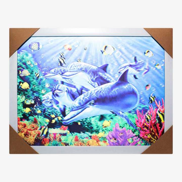 Dolphin 3D Wall Photo Frame | Daraz.com.np