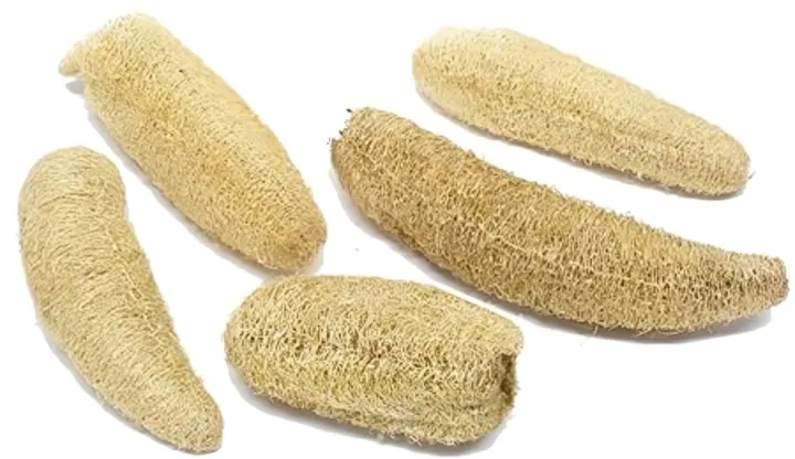 100% Natural Body Scrubber Loufah Sponges | Organic Bath Loofahs Lufa ...