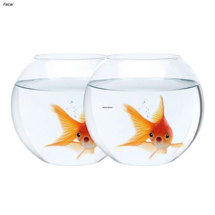 Facai Bowl aquarium home décor New style glass fish tank | Daraz.com.np