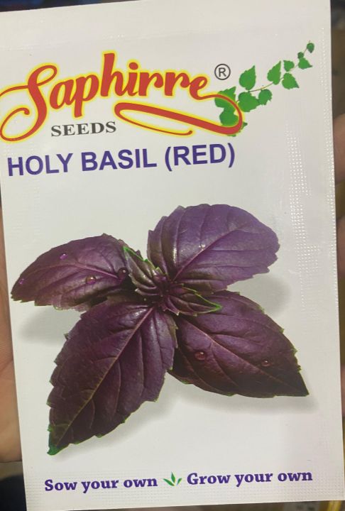 1 Packet Saphirre Holy Red Basil Seeds - 40 Plus Seeds Of Red Holy ...